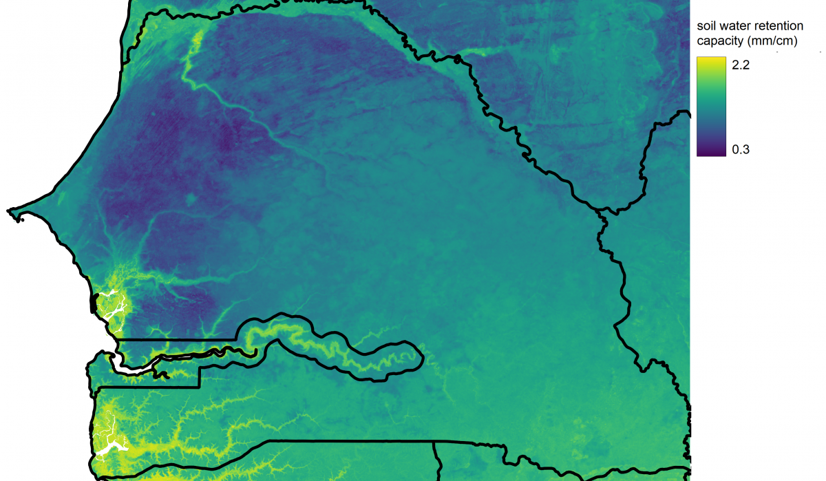 Water retention in the soils of Senegal: a new high-resolution map | Cirad