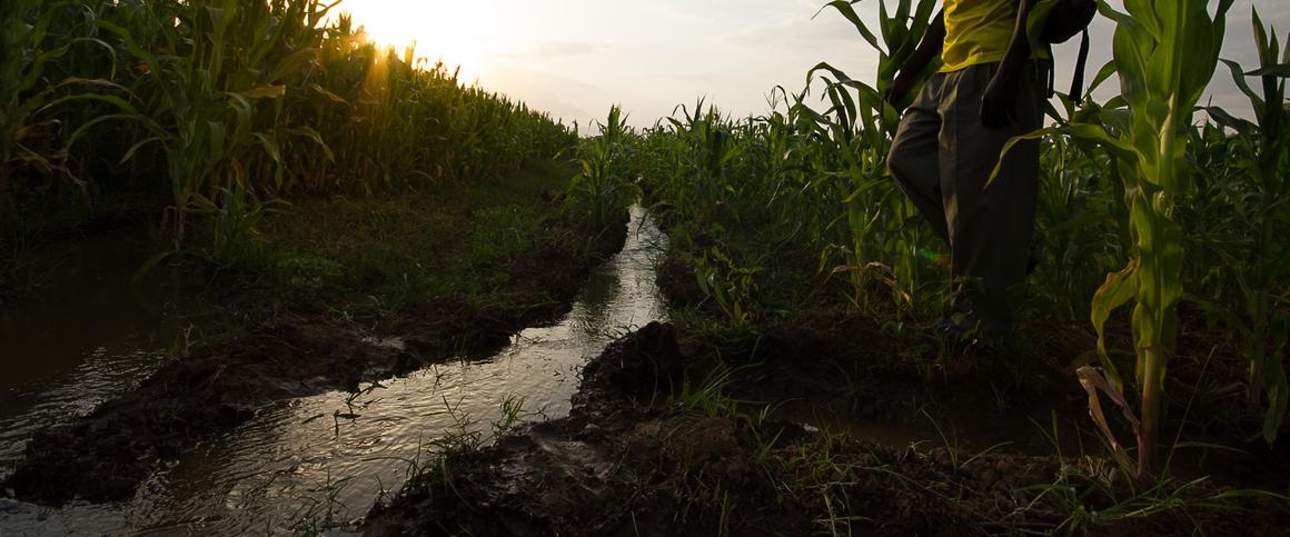 Water retention in the soils of Senegal: a new high-resolution map | Cirad
