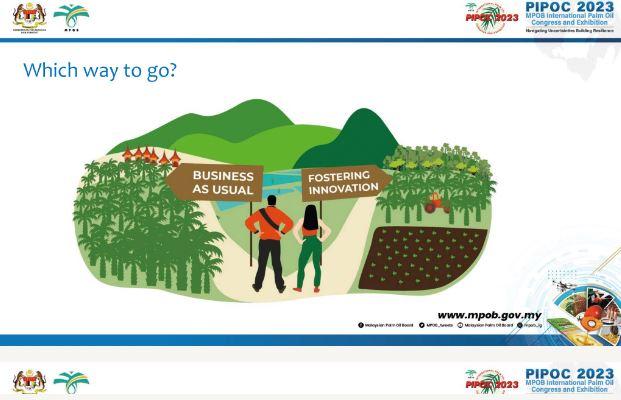 Oil palm-based agroforestry at PIPOC Conference | Cirad