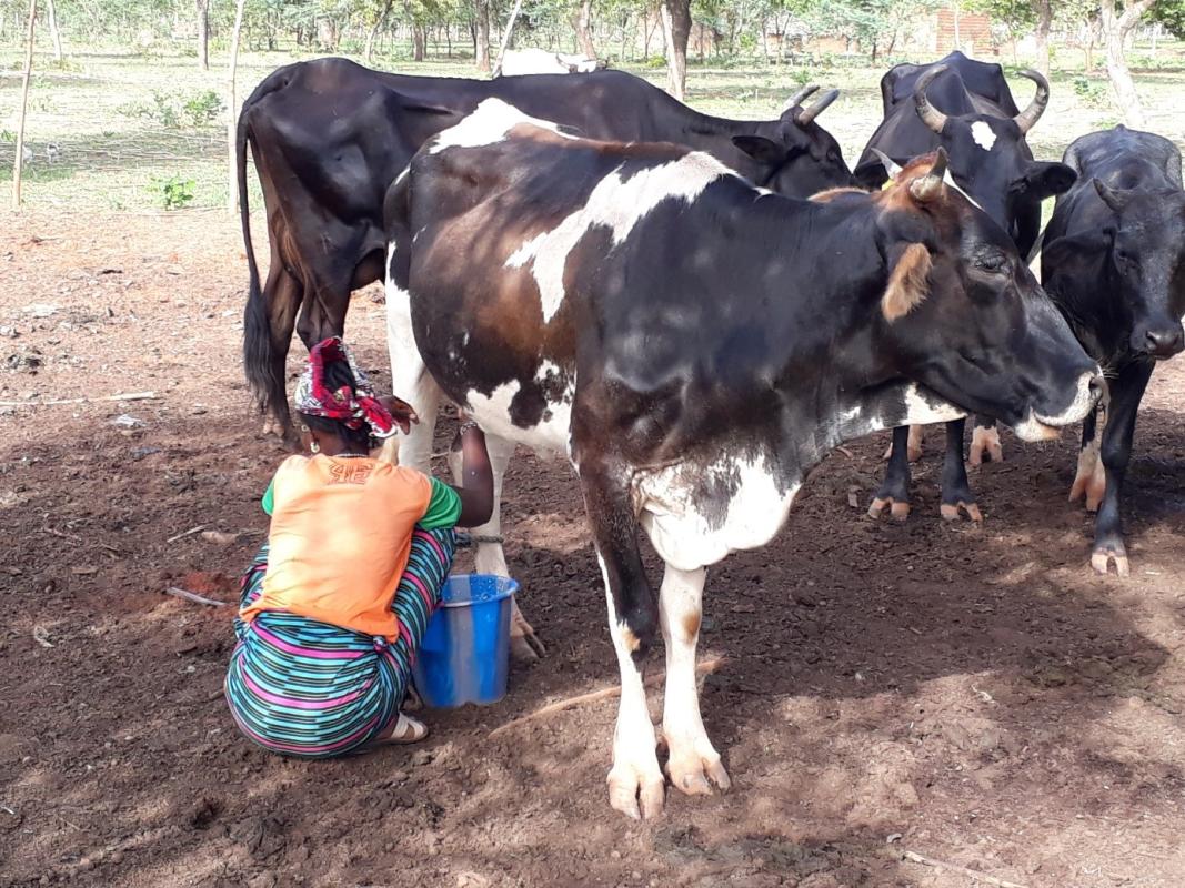 Promouvoir une intensification écologique et inclusive des chaînes de ...