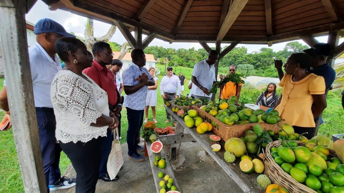 Visite du Président de la Région Guadeloupe et de ses équipes au Cirad ...