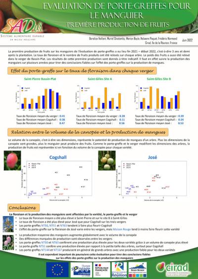Evaluer de nouveaux porte-greffes pour les manguiers, quels enjeux ...