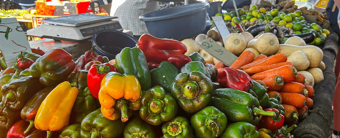 Faciliter la transition agroécologique du territoire à La Réunion avec ...