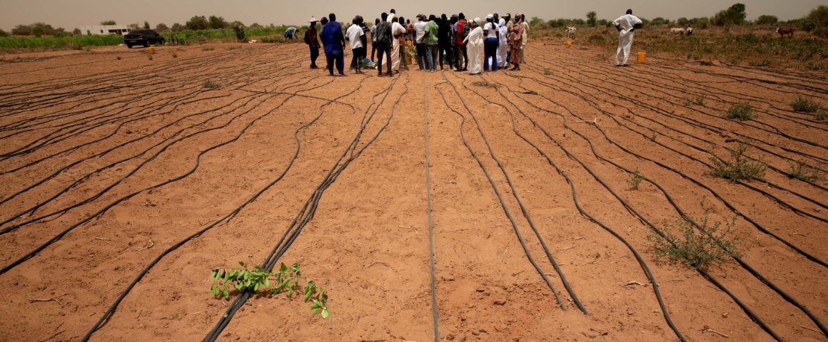 Un réseau de trente-huit fermes pilotes « agrécolieutiques » pour le ...