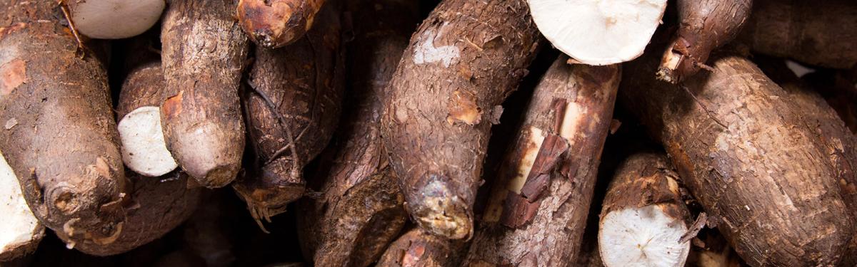 Racines et tubercules - Contexte et enjeux | Cirad