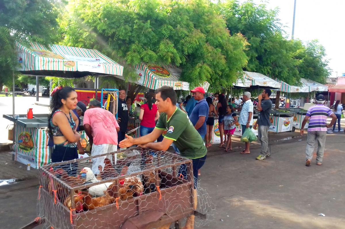 Covid-19 and food security | In Brazil, will emergency aid be enough to ...