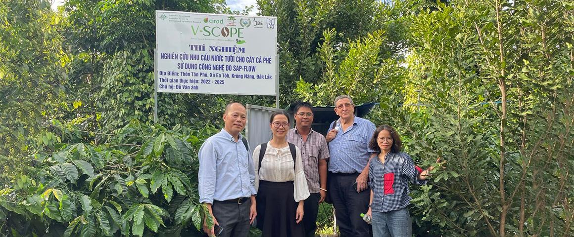 V-SCOPE 2023 en revue : Transformer la culture du café et du poivre ...