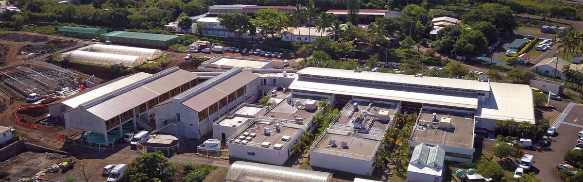 Plant Protection Platform | Cirad