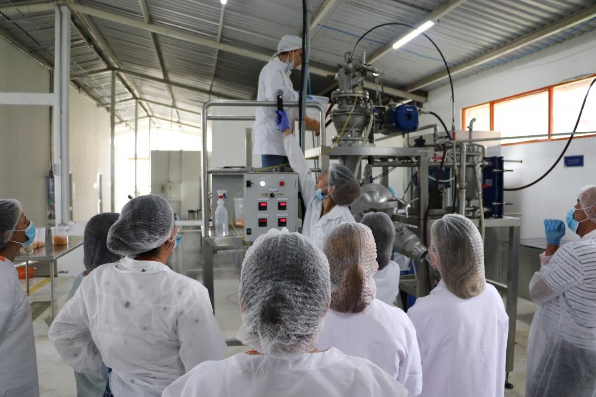 Des technologies agroalimentaires innovantes au service des petits ...