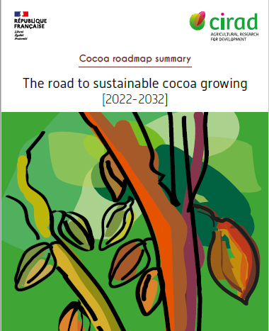 Cocoa roadmap summary. The road to sustainable cocoa growing [2022-2032 ...