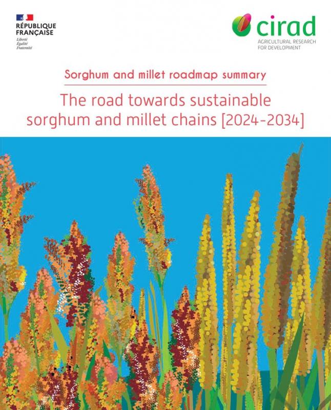 Sorghum and millet roadmap summary. The road towards sustainable ...