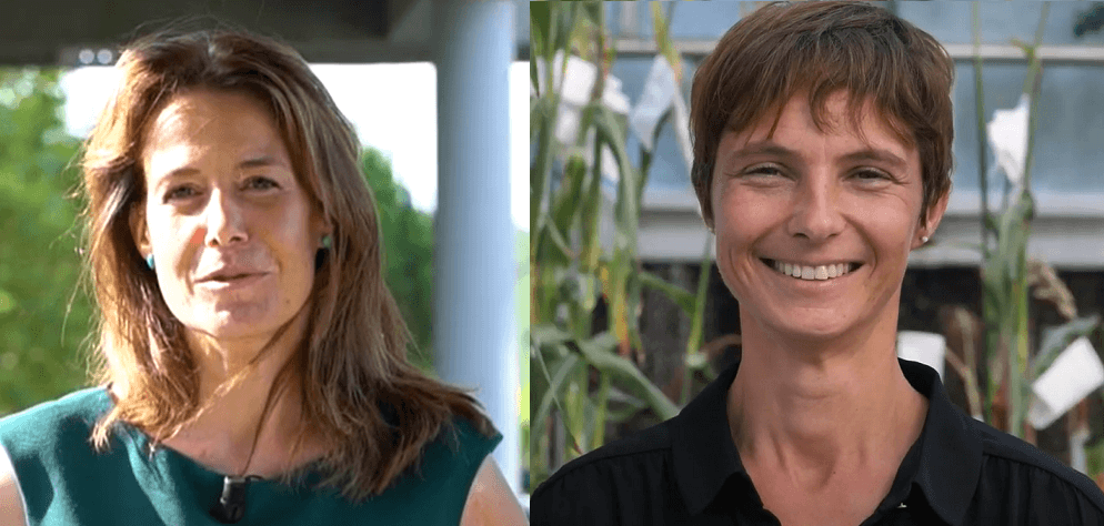 Femmes de science | Découvrez le métier de chercheuse au Cirad | Cirad