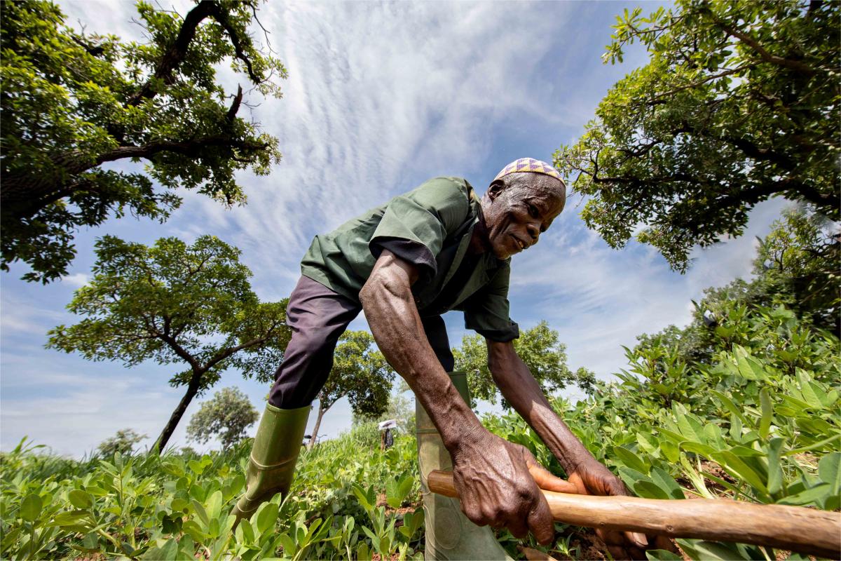 L’agroécologie africaine dans l’œil d’un chercheur-photographe Raphaël ...