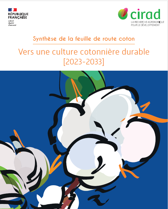 Synthèse de la feuille de route coton. Vers une culture cotonnière ...