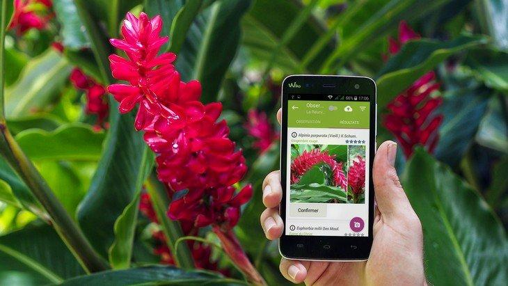 Pl@ntNet: an app to advance botany | Cirad