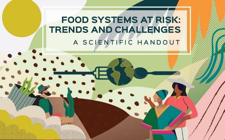 Food systems at risk: trends and challenges | Cirad