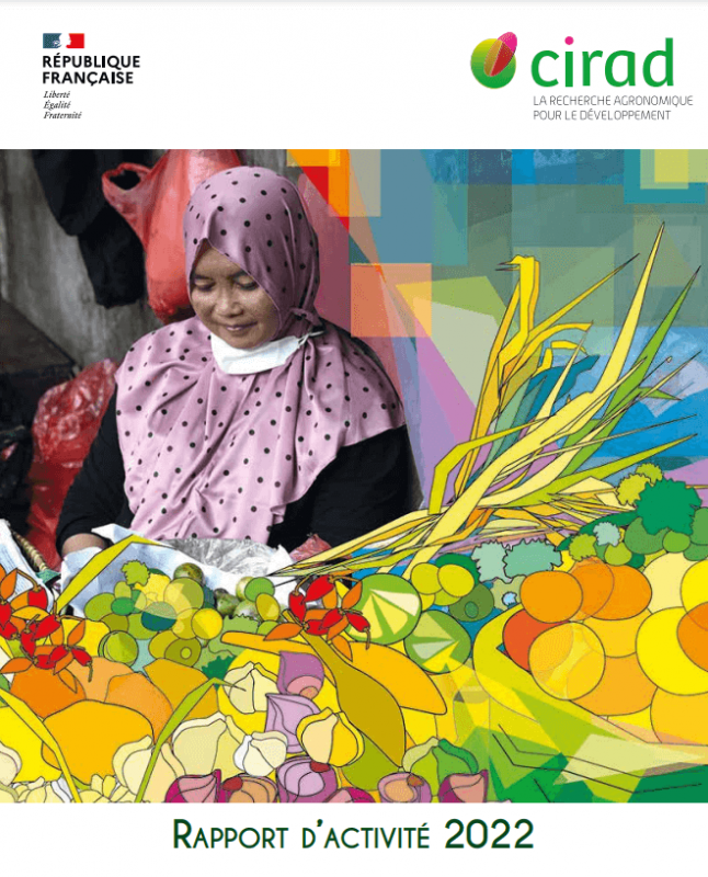Le rapport d'activité du Cirad en 2022 | Cirad