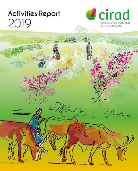 CIRAD 2019 Activities Report | Cirad