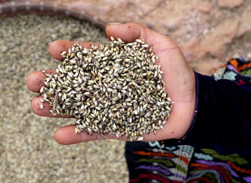 Food security: food reserves are again acknowledged to play a major ...