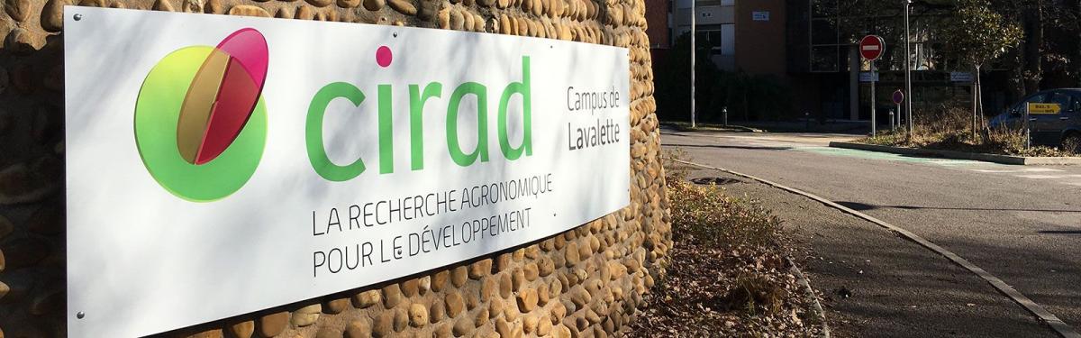 Se rendre sur un site du Cirad à Montpellier | Cirad