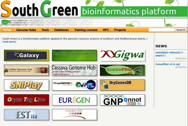 South Green bioinformatics platform | Cirad