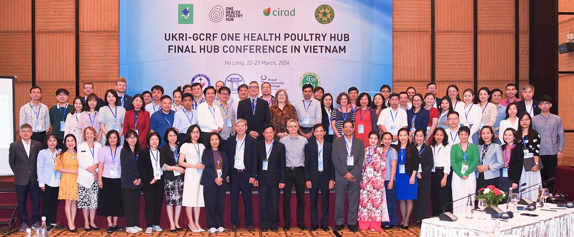 The One Health Poultry Hub conference shares insights on poultry ...